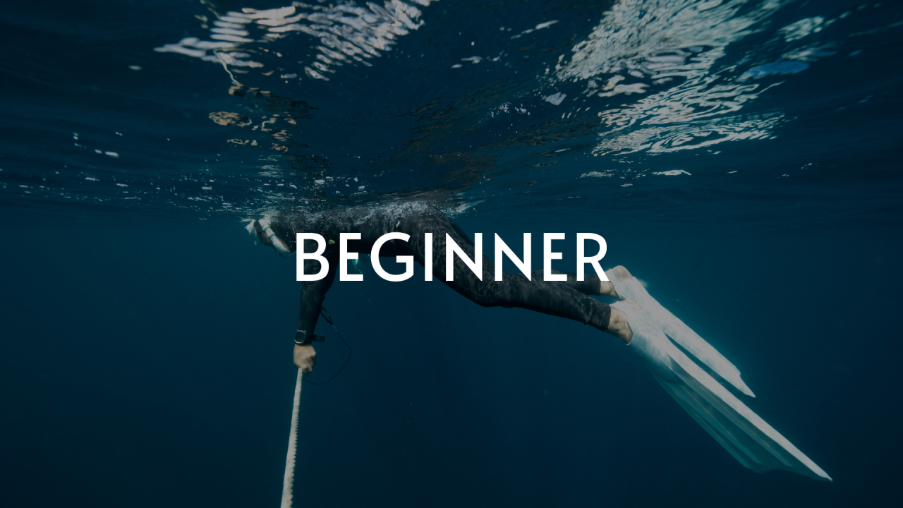 Freediving Courses | Evolution Freediving