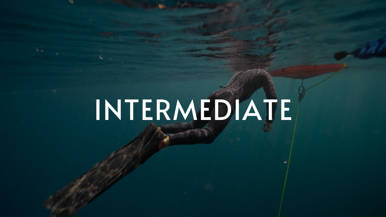 Freediving Courses | Evolution Freediving