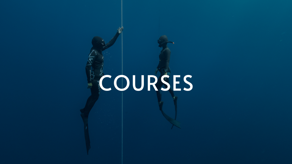 Evolution Freediving | Port Douglas